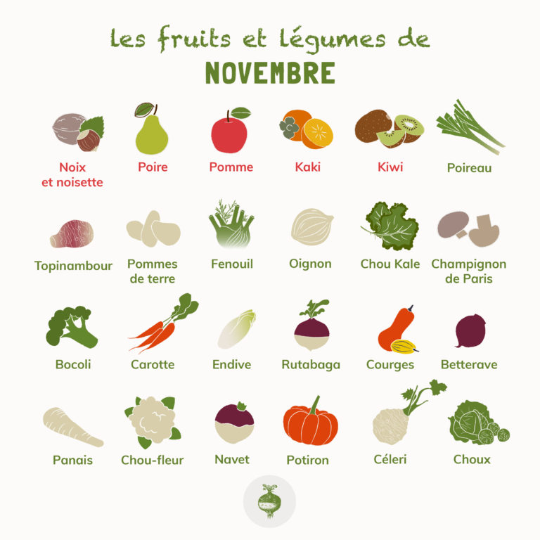 Les Fruits et Légumes de Saison en Novembre : Calendrier et Conseils ...
