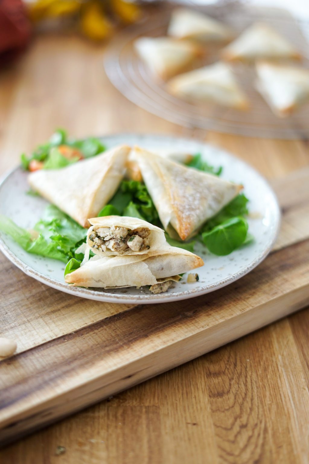 Feuilles de brick au poulet - Les Pépites de Noisette